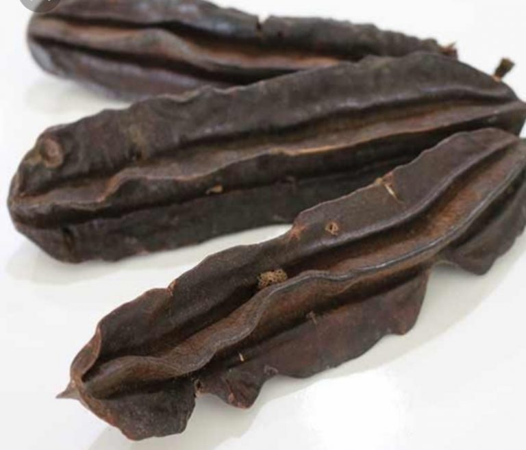 Tetrapleura tetraptera / Fruit 4 côtés / Prékéssé - Sham's Afrique